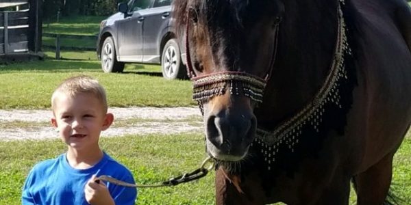 Home - Amethyst Acres