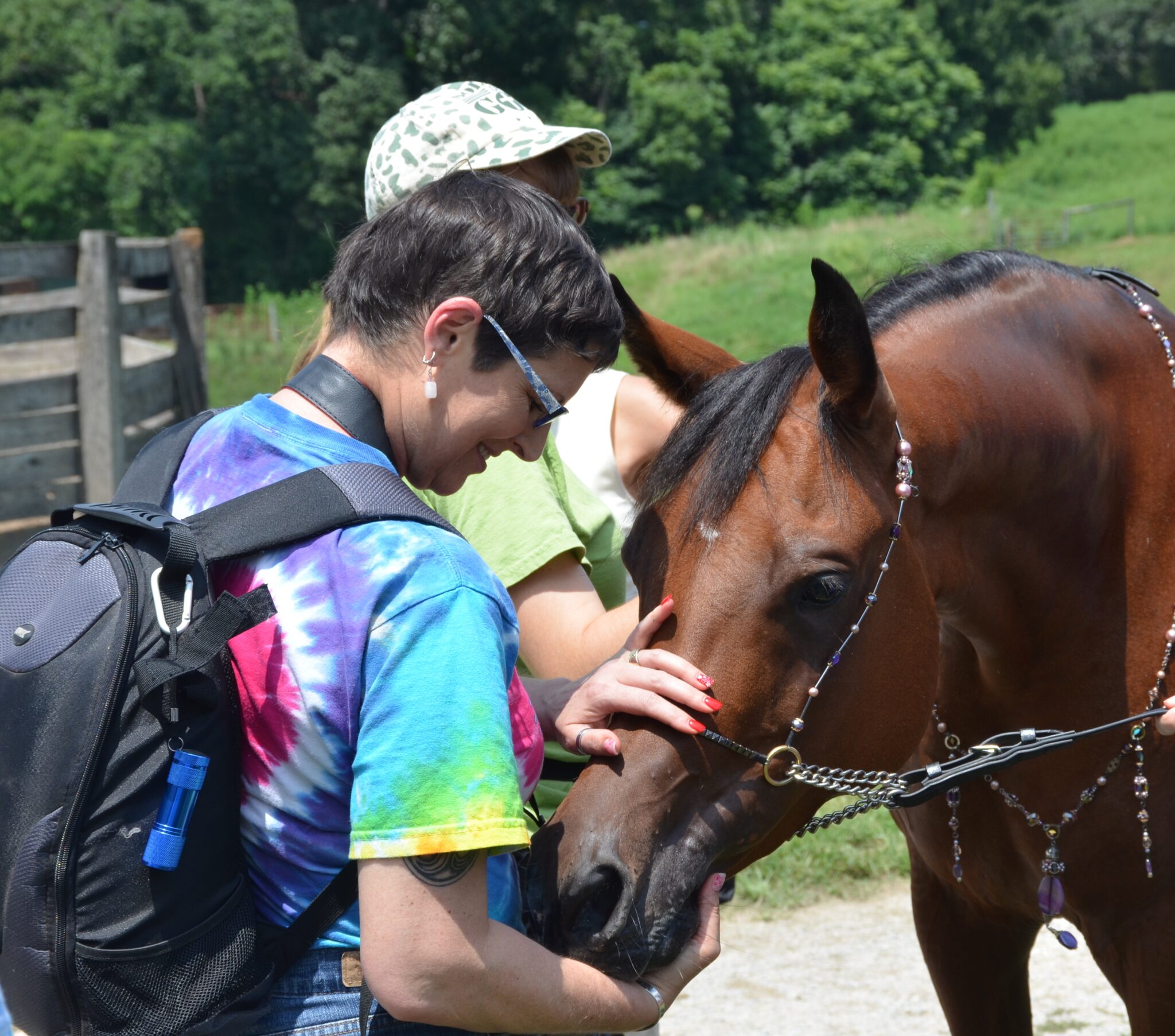 For Newcomers - Amethyst Acres